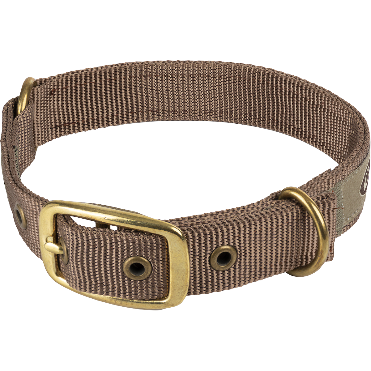 Team Dog Split Ring Collar - Brown / 16 Inches